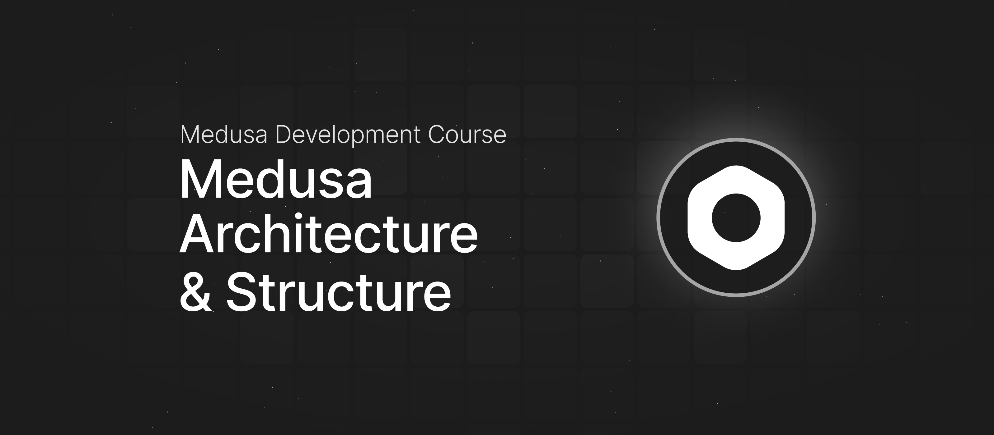 Medusa Architecture & Structure | Medusa Development Course | Rigby