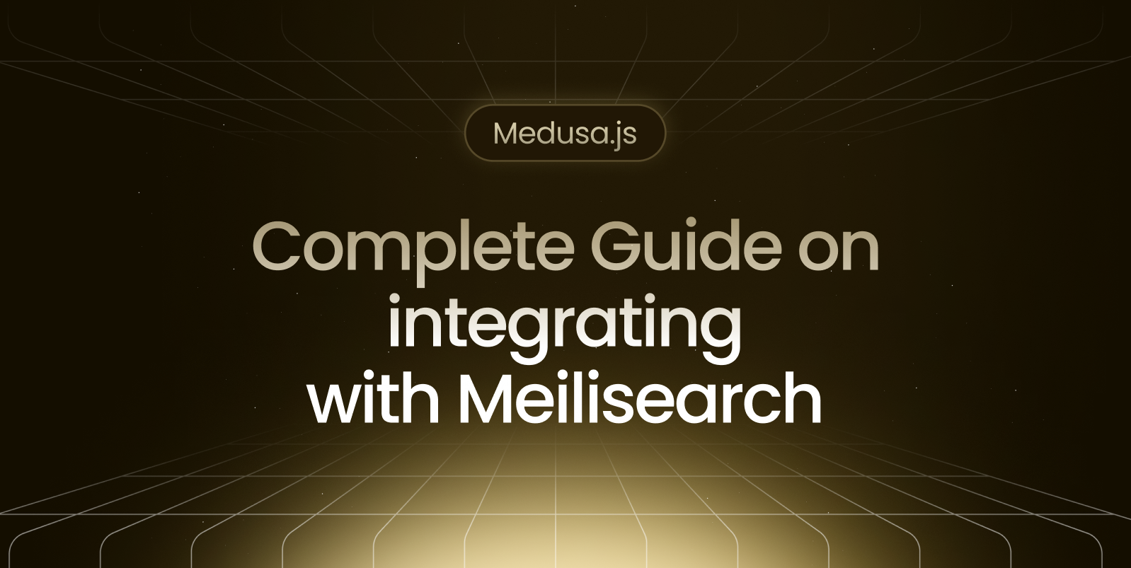Complete Guide on How to Integrate Meilisearch with Medusa.js | Rigby