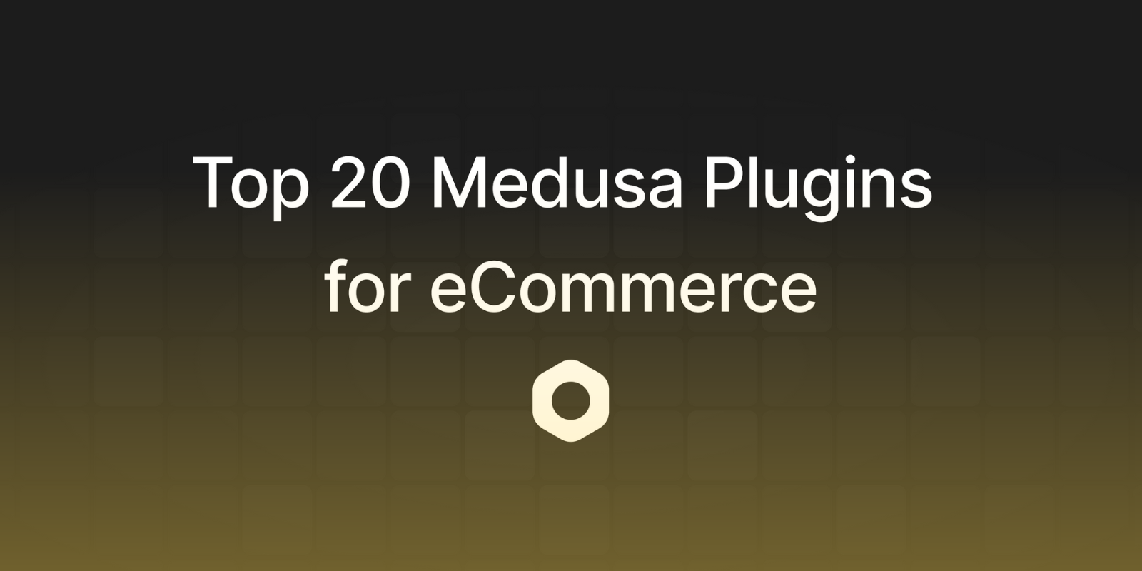 Top 20 Medusa Plugins for eCommerce | Rigby